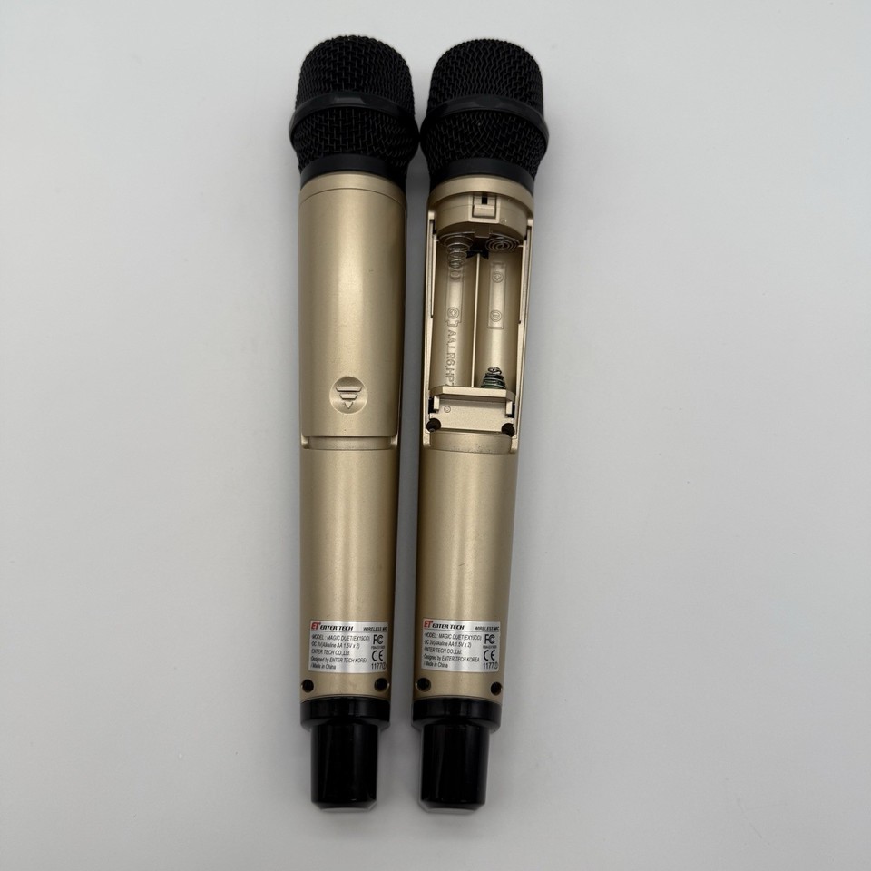 Diamond Magic Sing ET19KV Karaoke With 2 Wireless Mics | eBay