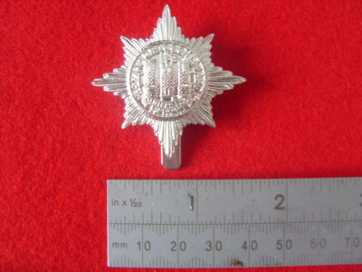 RDG ROYAL DRAGOON GUARDS OR A/A BERET BADGE UK BRITISH ARMY CAVALRY ...