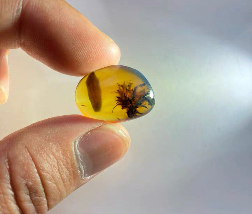 Burmese fossil burmite Cretaceous amber A pile of flowers fossil amber ...