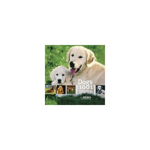 Dogs 1001 Photos (Cubebooks) Book The Fast Free Shipping | eBay