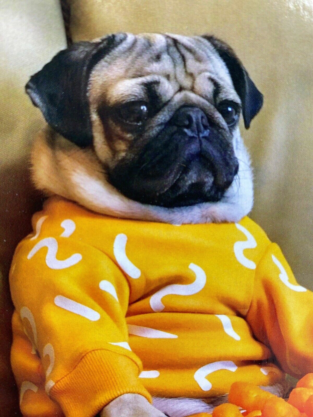 Doug The Pug Cheese 300 Piece Jigsaw Puzzle 02760 by Buffalo Games for ...