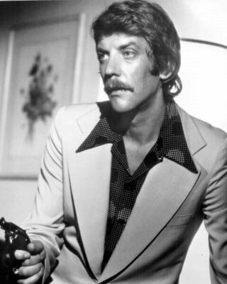 Donald Sutherland holds gun 1973 Lady Ice 24x36 inch poster | eBay