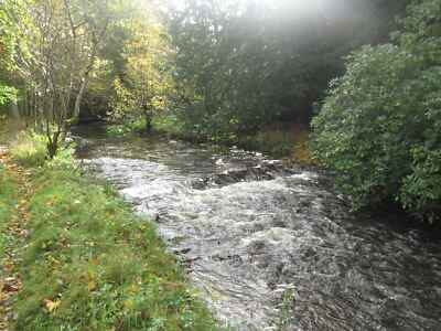 Photo 12x8 Weir on Quair Water Innerleithen c2021 | eBay UK