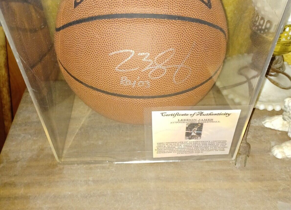 LeBron James 2003 NBA Summer Games Hand Singed Basketball | eBay