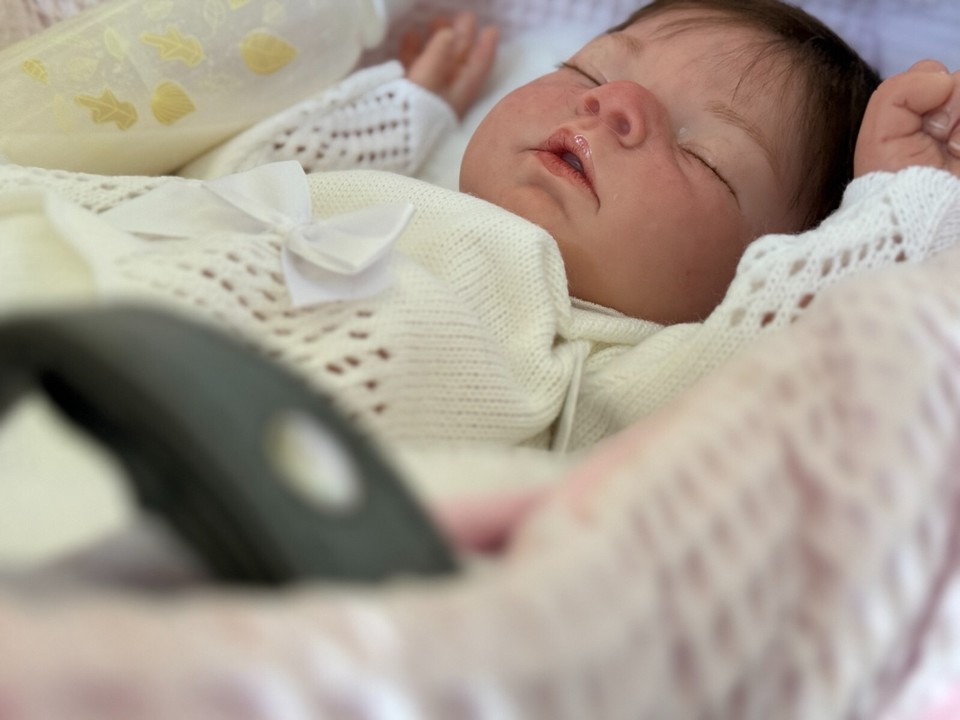 Ready2ship Indra Reva Full body girl Life like silicone Doll Reborn ...