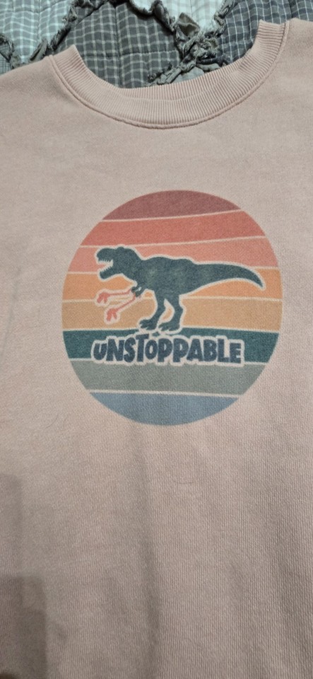 Pink Sweatshirt T-rex Dinosaur Unstoppable Funny Women's Large | eBay UK