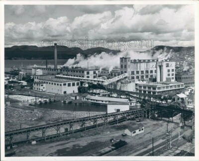 Press Photo Bowater Pulp & Paper Mills Corner Brook Newfoundland Canada ...