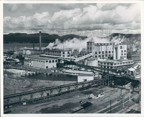 Press Photo Bowater Pulp & Paper Mills Corner Brook Newfoundland Canada ...