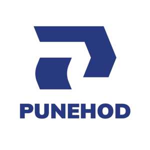 PUNEHOD Official | eBay Stores