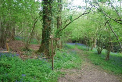 Photo 6x4 Sussex Border Path signpost in Long Plantation Cinder Hill ...