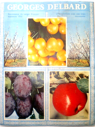 ANCIEN CATALOGUE PUB JARDIN GEORGES DELBARD AUTOMNE 1953 | eBay