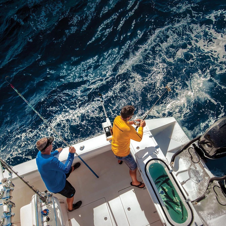 Cannon 1902340 Saltwater Optimum 10 TS Electric Downrigger with ...