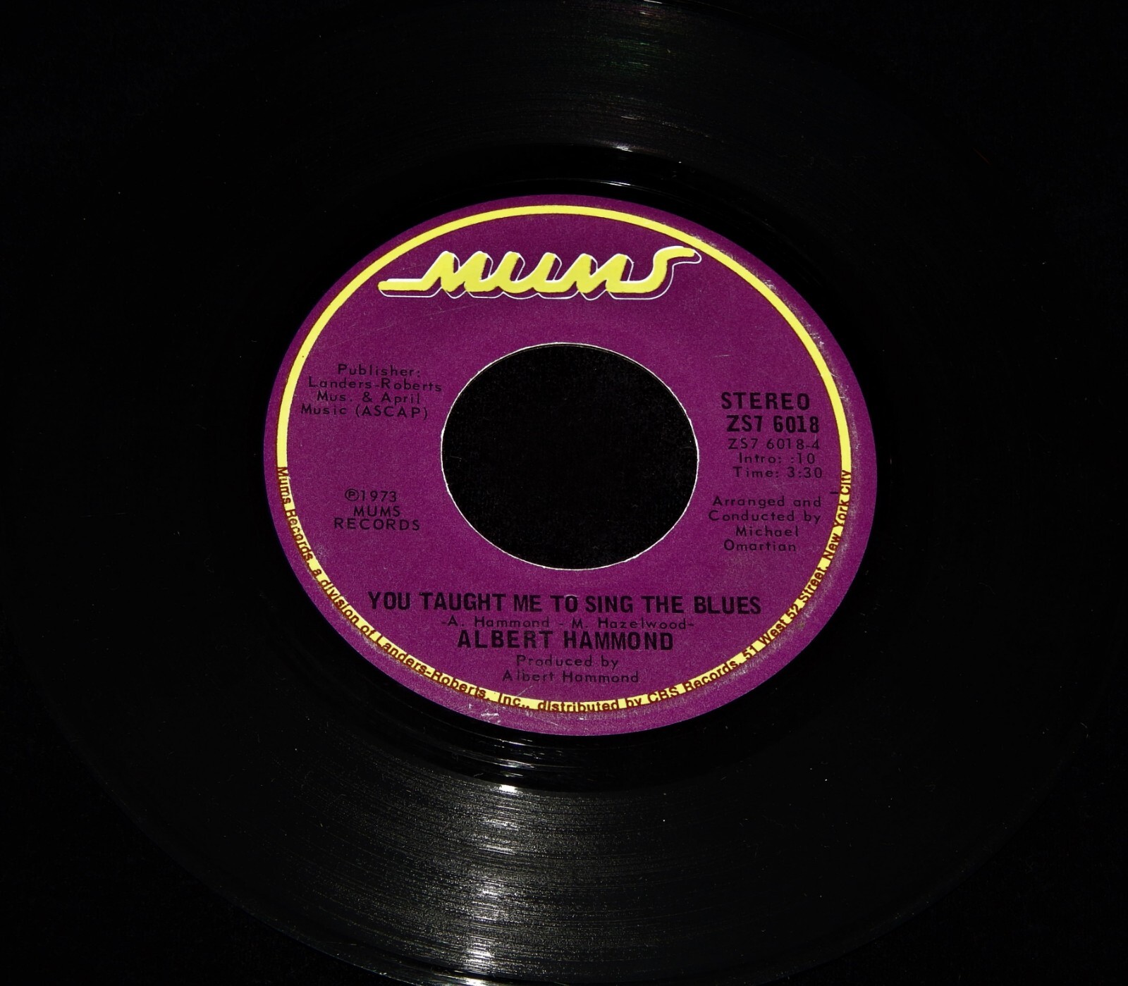 Vintage Record, ALBERT HAMMOND: THE FREE ELECTRIC BAND 45 rpm, 1973 ...