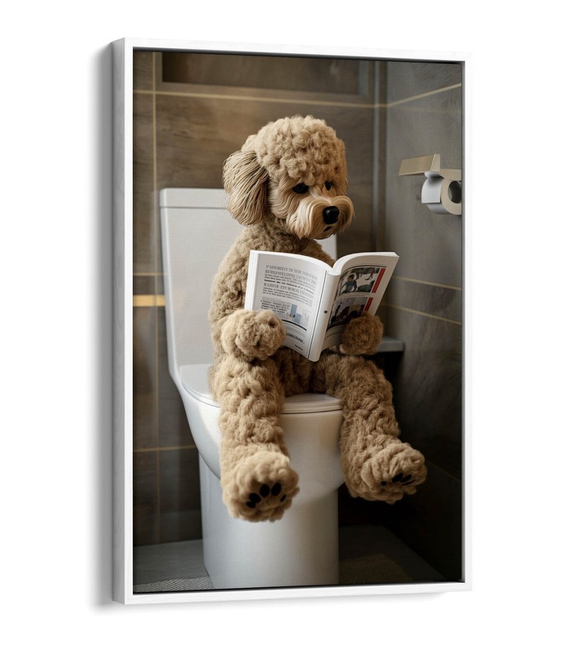 COCKAPOO DOG ON TOILET READING NEWS -FLOAT EFFECT FRAMED CANVAS WALL ...