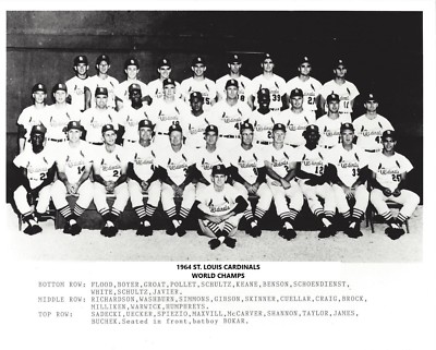 1964 ST. LOUIS CARDINALS 8X10 TEAM PHOTO BASEBALL MLB PICTURE WORLD ...