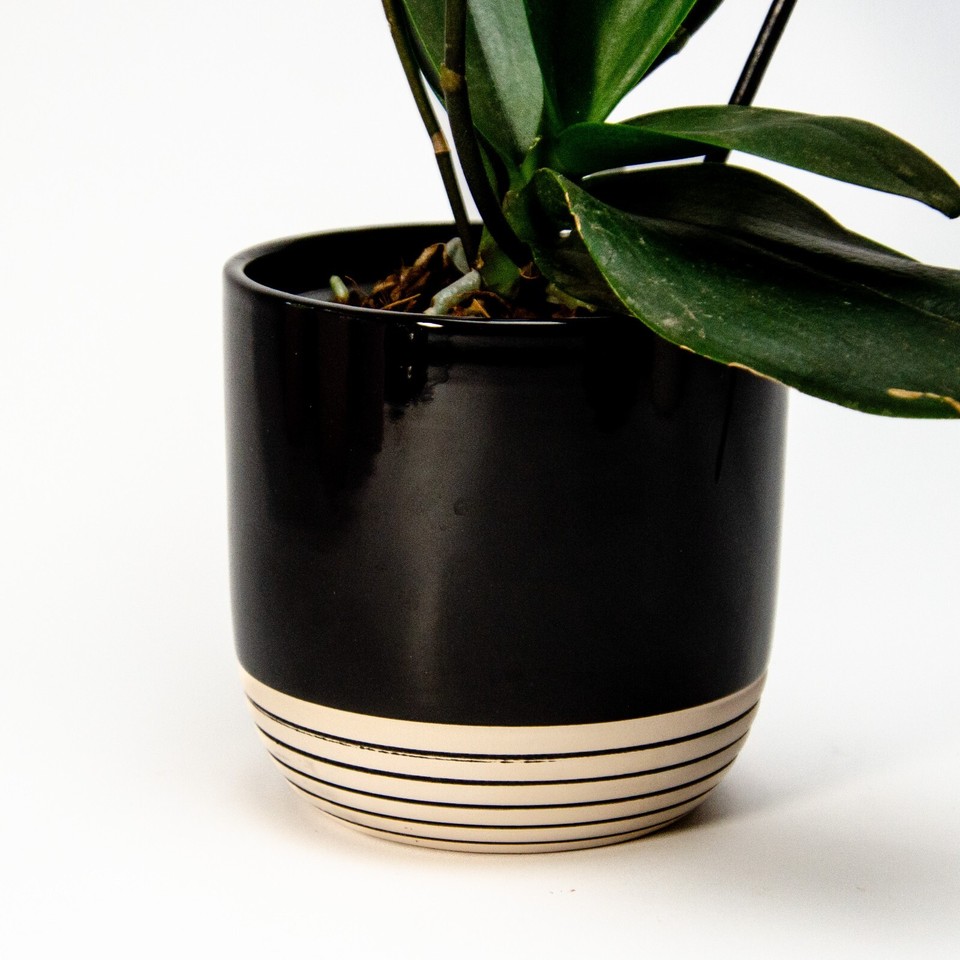 5" Sleek Black Ceramic Striped Decor Planter Flower Pot - FREE SHIPPING ...
