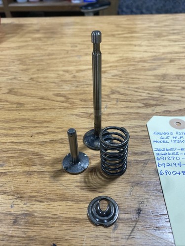 Used OEM 262651 262652 691270 690548 Valve Springs Tappets Briggs ...