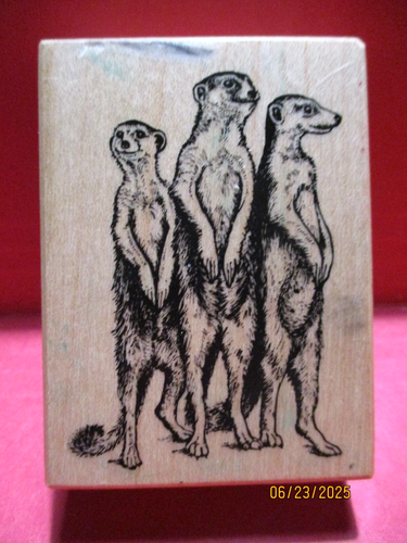 PSX MEERKAT TRIO RUBBER STAMP WOOD MTD | eBay