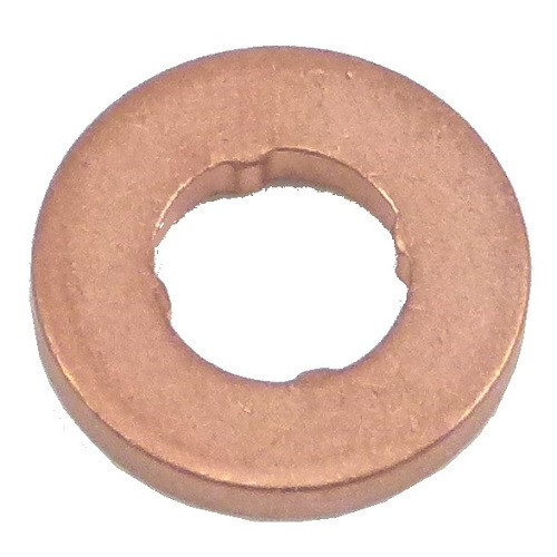 Dichtring Wärmeschutzscheibe Fiat 1,9 2,0 2,4 JTD Alfa Romeo Lancia PSA ...