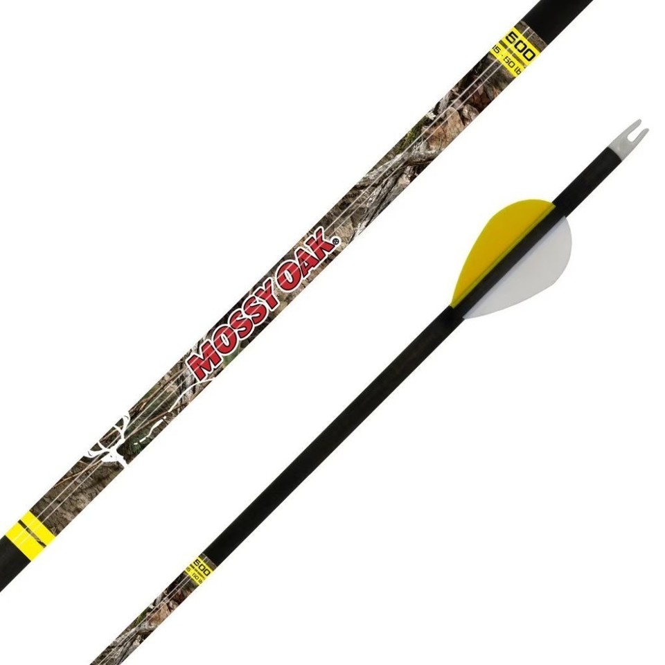 Carbon Archery Arrows for Hunting and Target Practice with Replaceable ...