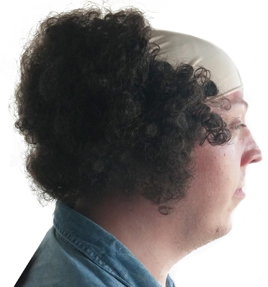 City Costume Wigs Larry Three Stooges Wig Bald Curly Brown Wig for Men ...