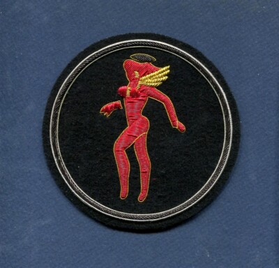 Bullion AVG 3rd HELLS ANGELS Flying Tigers CBI P-40 USAAC USAF Squadron ...