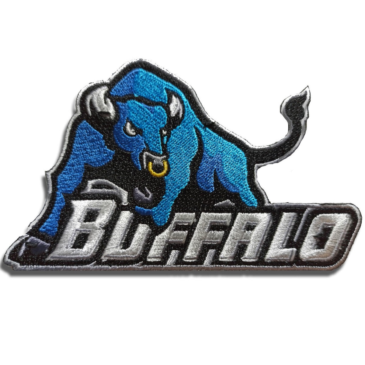 University At Buffalo Logo