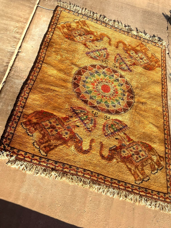 Hand-woven India Jaipur mandala rug Elephant Oriental wool carpet 5' 9 ...