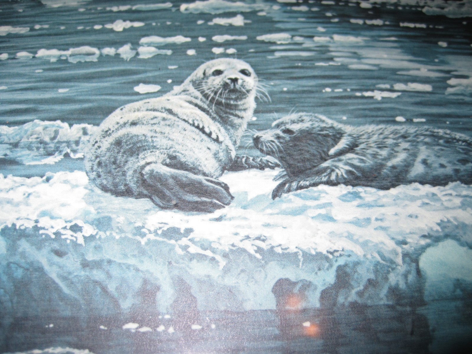 Ed Tussey, "Glacier and Harbor Seals" Signed LE 403/950 Art Print 23x37 ...