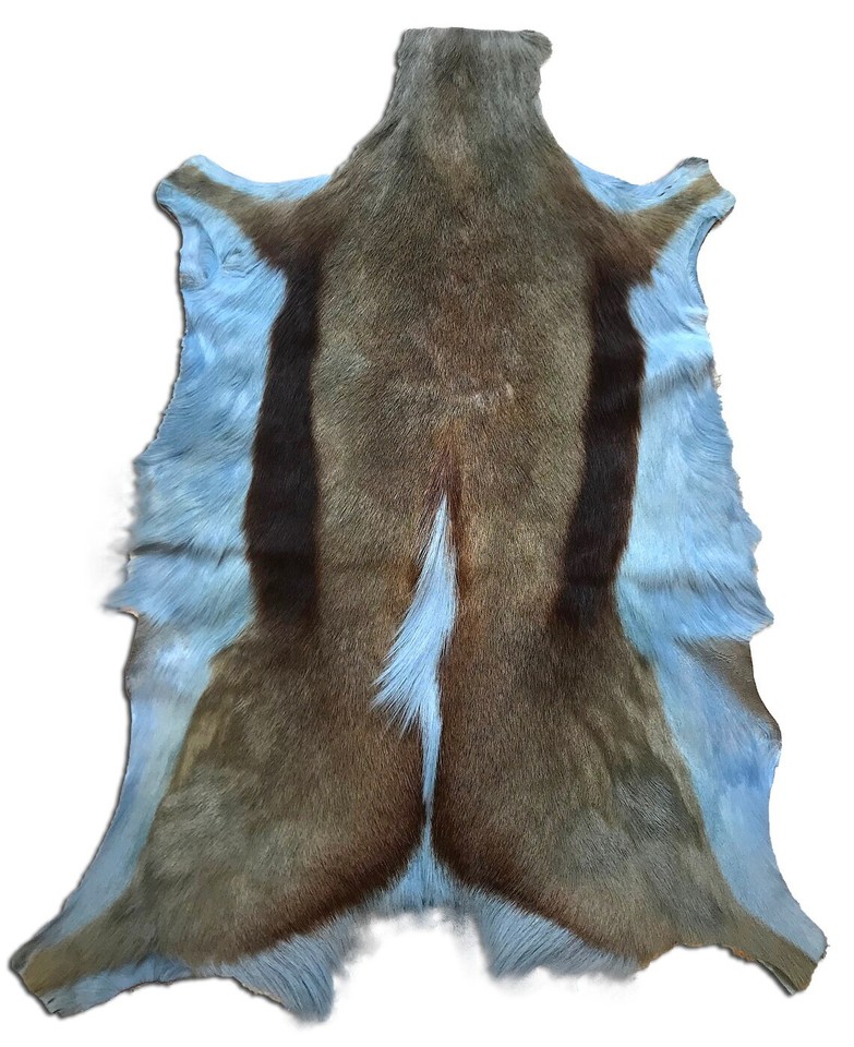Dyed African Deer Skin Assorted dyed colors African springbok antelope ...