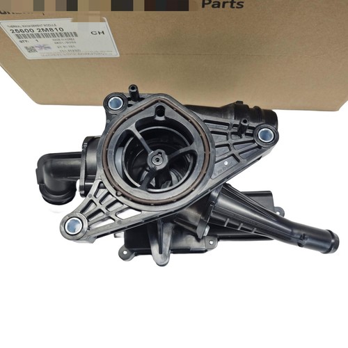 New Thermostat Housing Assy For 25600-2M810 256002M810 21-22 Hyundai ...