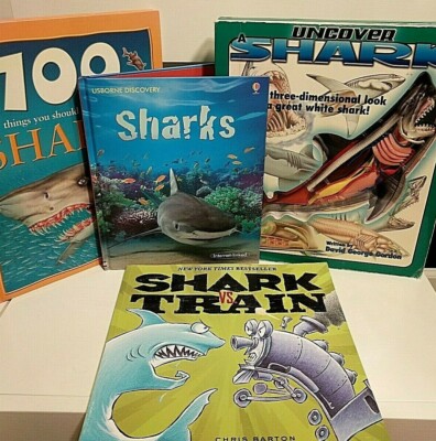 Uncover SHARK by David Gordon~ Usborne Discovery SHARKS~SHARK vs. TRAIN ...