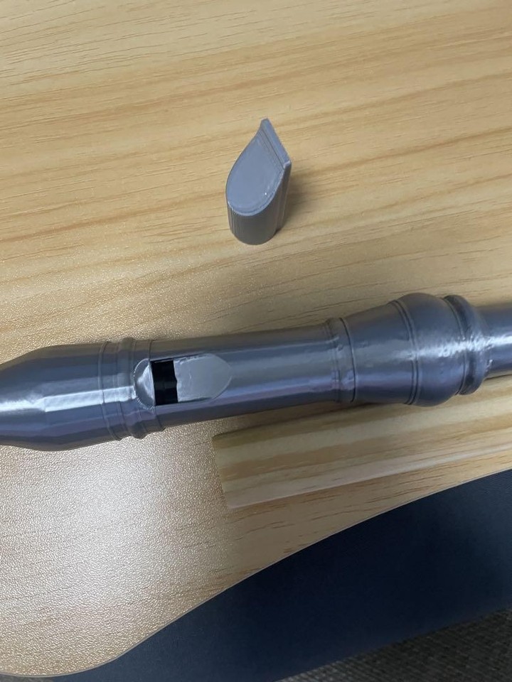 3D Printed Silver Recorder Musical Instrument Used OOB | eBay
