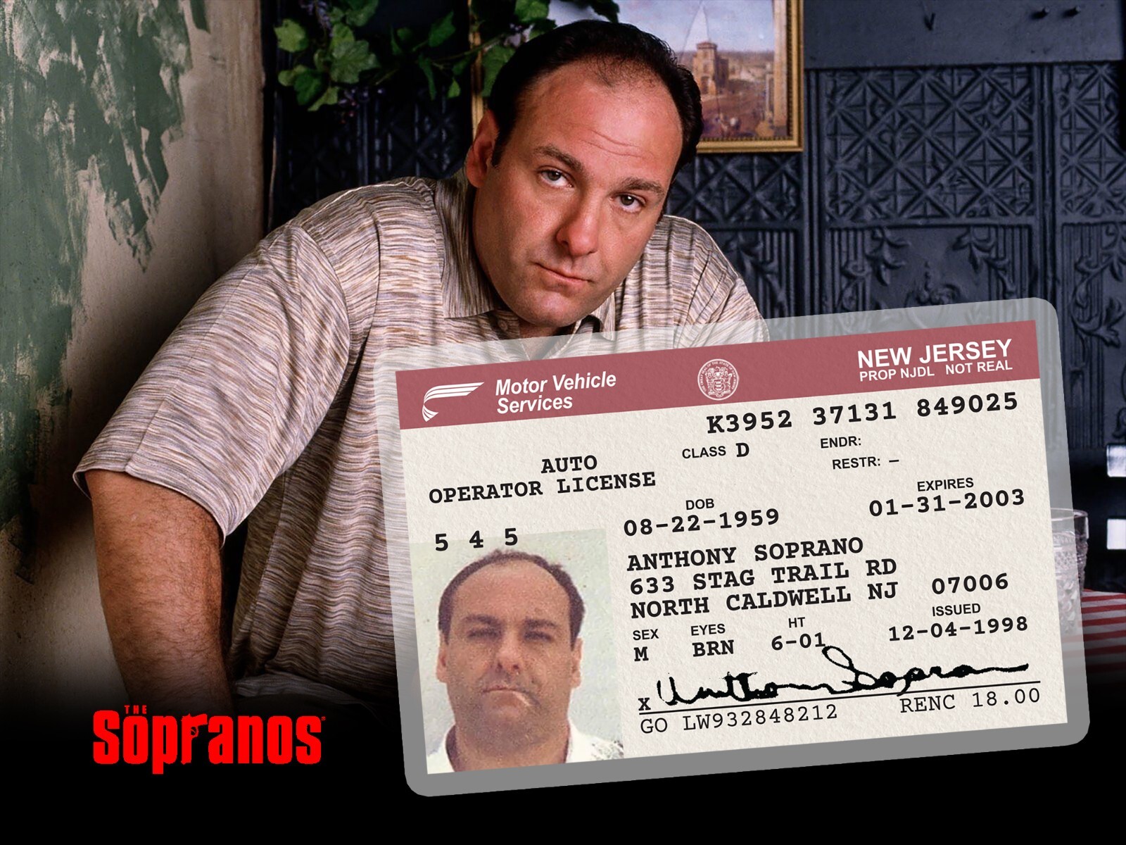 TONY SOPRANO ID CARD - Sopranos New Jersey NJ Drivers License - James ...