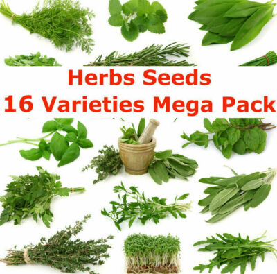 Herbs Seeds 16 Varieties Mega Seeds Packs Registered AusPost Delivery ...
