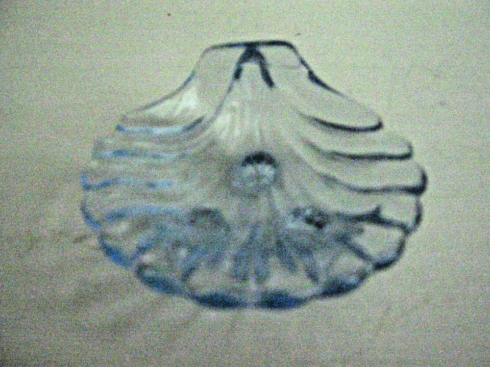 CAMBRIDGE CAPRICE LIGHT BLUE GLASS SHELL SHAPED NUT CUP/OPEN SALT ...