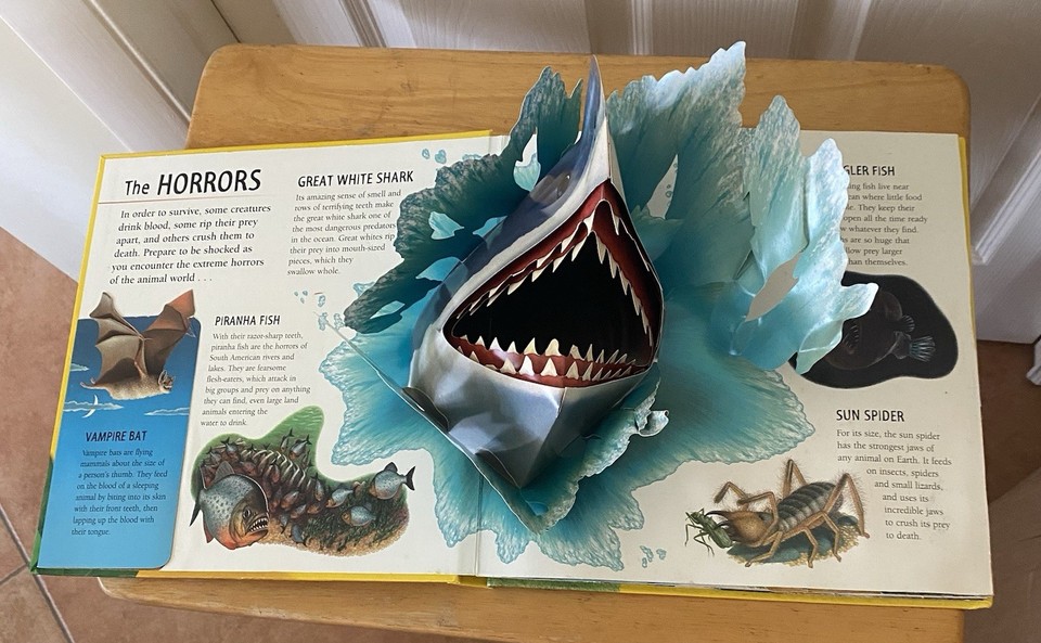 Extreme Animals Pop-Up Book Nick Denchfield 2003 3D Danger Creatures ...