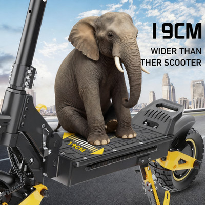 IENYRID ES1 1200W 60KM/H-S1 800W 45KM/H-M1-250W 25KM/H/VIPCOO VS 3 800W ...