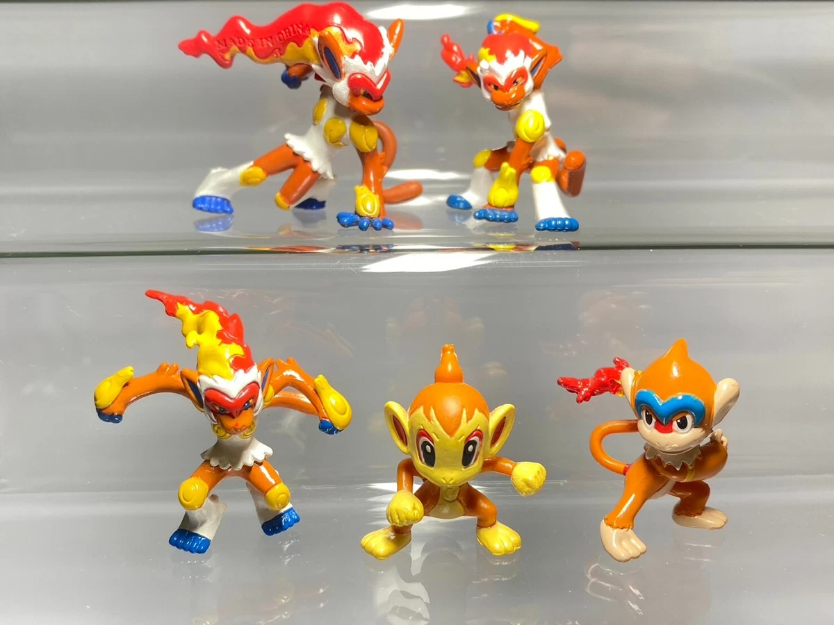 Chimchar Pokemon Evolution