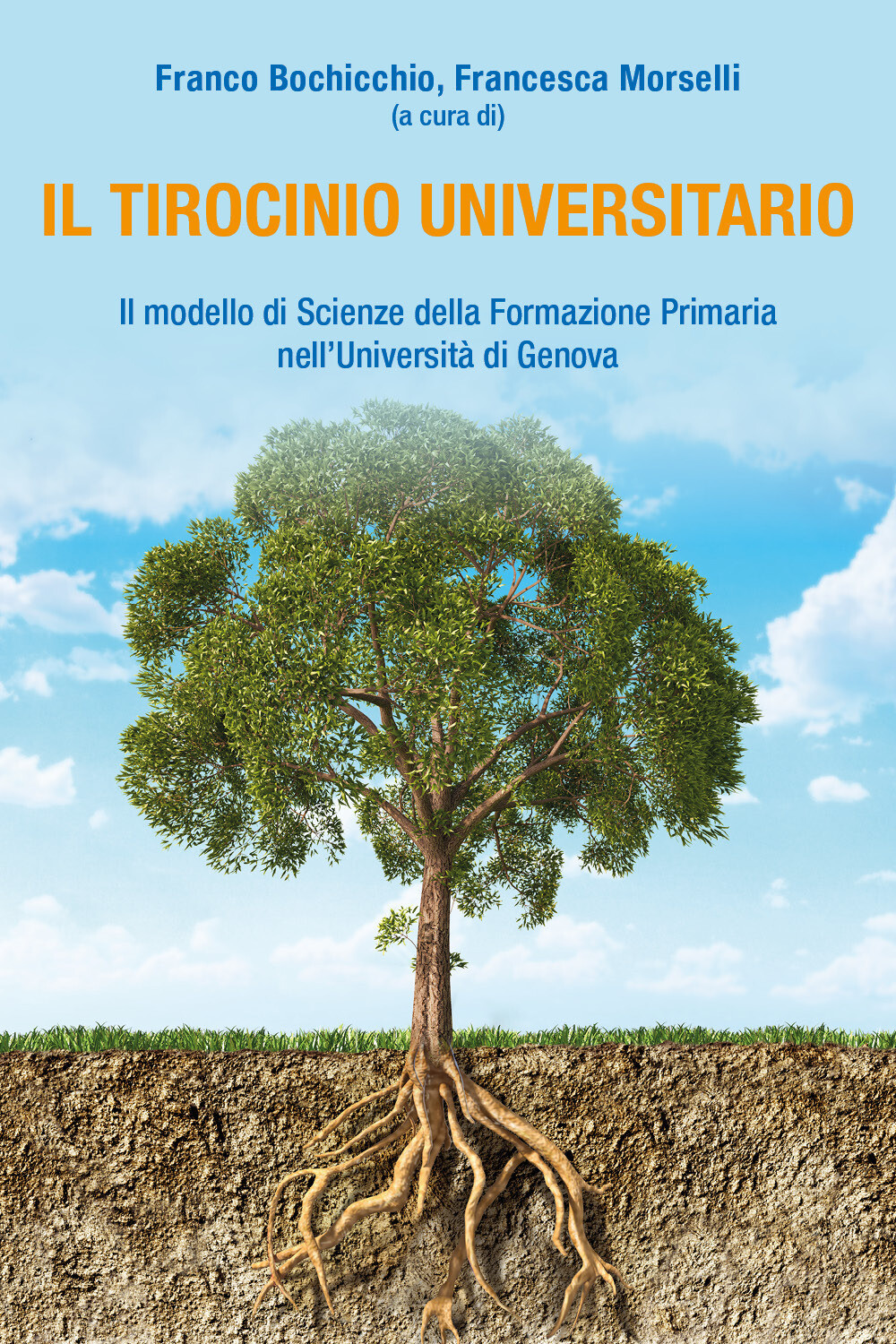 Il tirocinio universitario. Il modello di Scienze della formazione ...