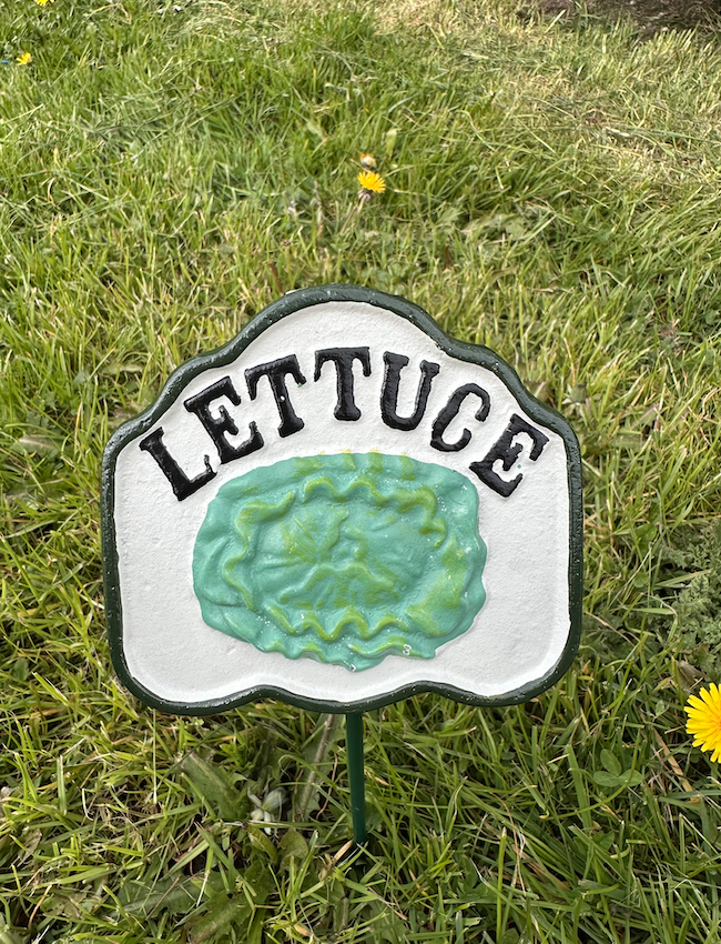 Garden Vegetable Signs | Beans Lettuce Onion Peas Potato Tomato | eBay UK