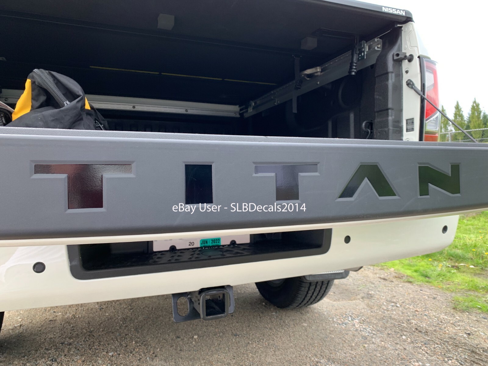 FITS Nissan Titan TAILGATE Decals 2016 2017 2018 2019 / 2020 2021 2022 ...