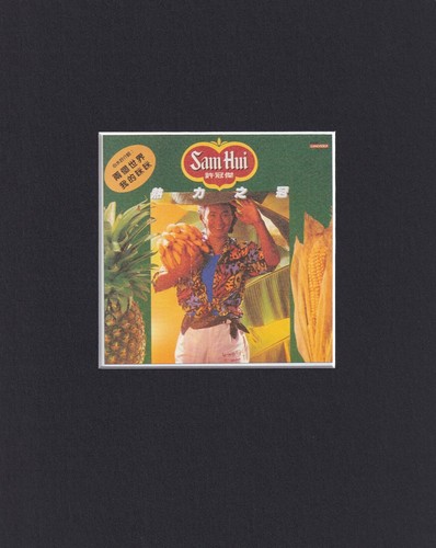 8X10 Matted Print Album Cover Art Picture: Sam Hui, Sam Hui | eBay