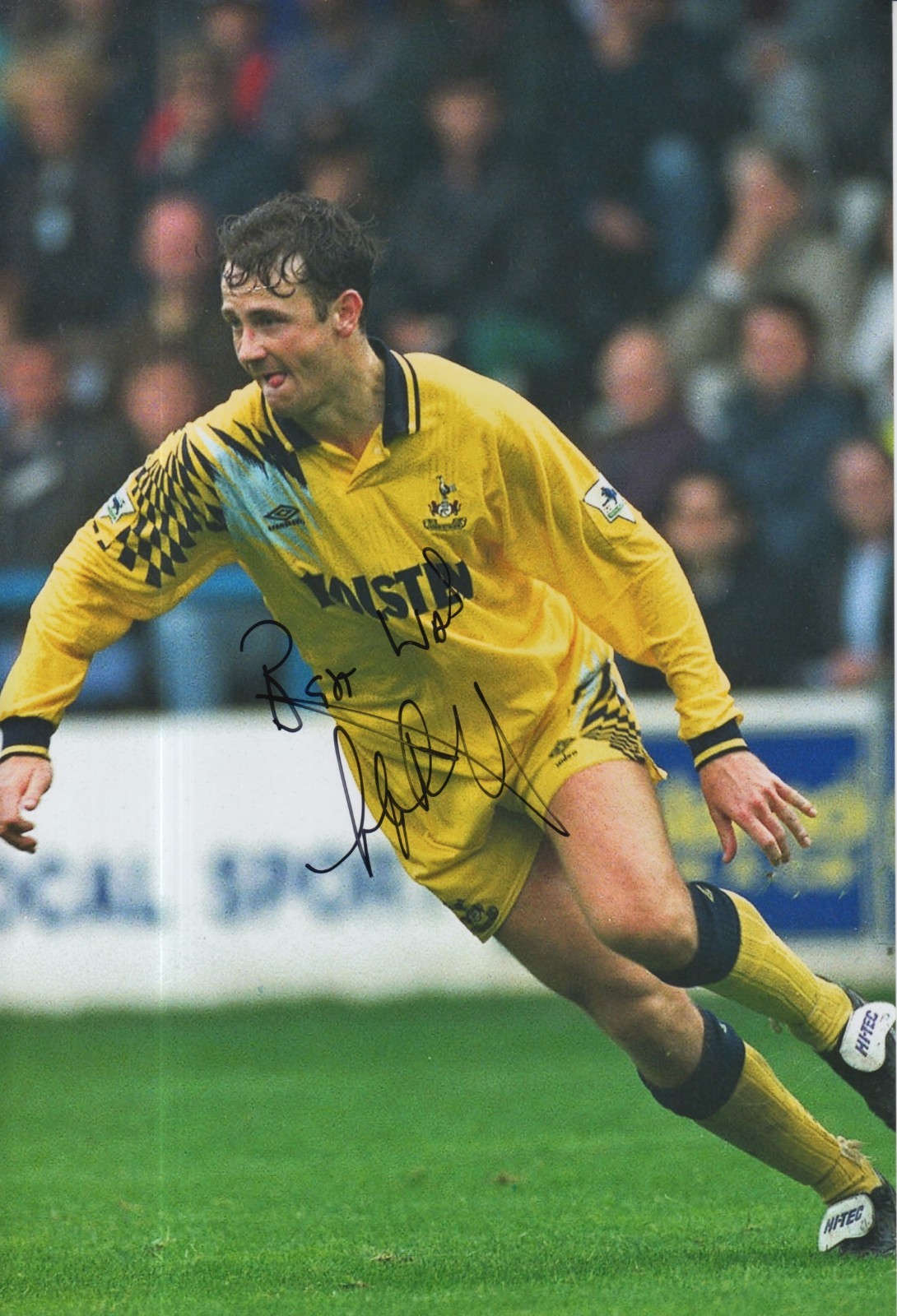 Steve Sedgley Hand Signed Tottenham Hotspur 12x8 Photo. | eBay