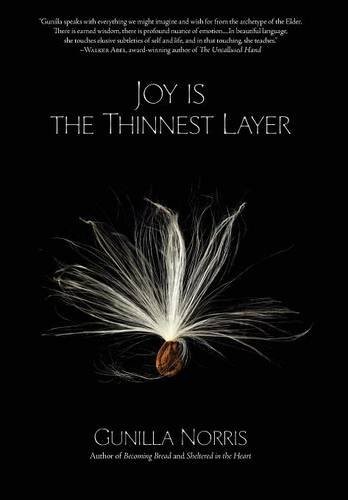 JOY IS THE THINNEST LAYER By Gunilla Norris - Hardcover *Excellent ...