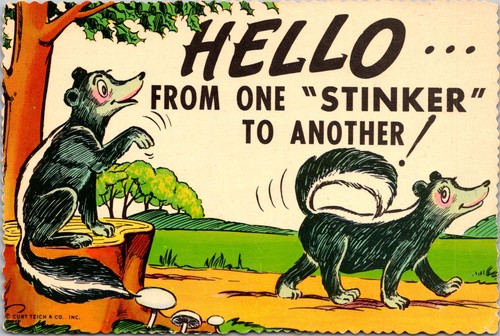 Hello From One Stinker Skunk Cartoon Linen Card Continental Postcard ...