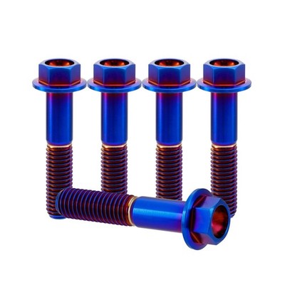 M6 Titanium Bolts M6 Flange Bolt GR5 Titanium Flange Bolt Titanium Hex ...