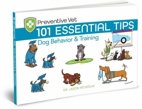 101 Essential Tips: Dog Behavior & Training by BVetMed (Hons) Jason ...
