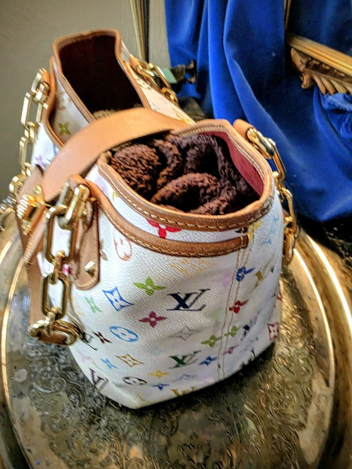 LOUIS VUITTON MURAKAMI Multi Color Monogram ANNIE GM RARE | eBay