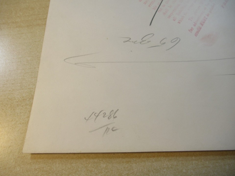 NY GIANTS PITCHERS UNLIMBER TYPE 1 PRESS PHOTO CLINT HARTUNG JANSEN ...